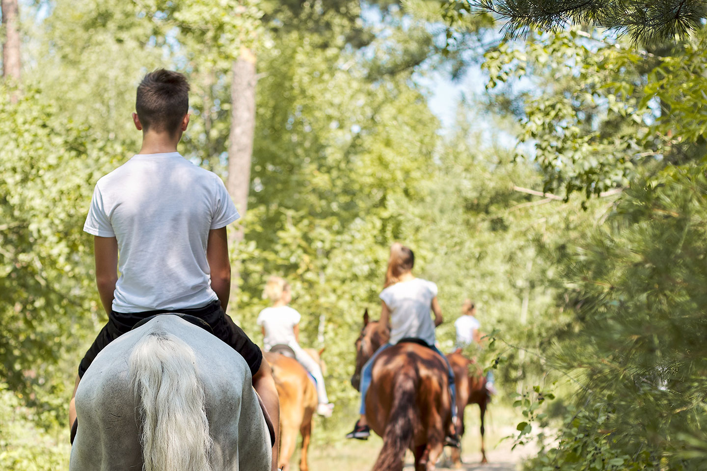 Ganaraska Conservation - Special Event Permits