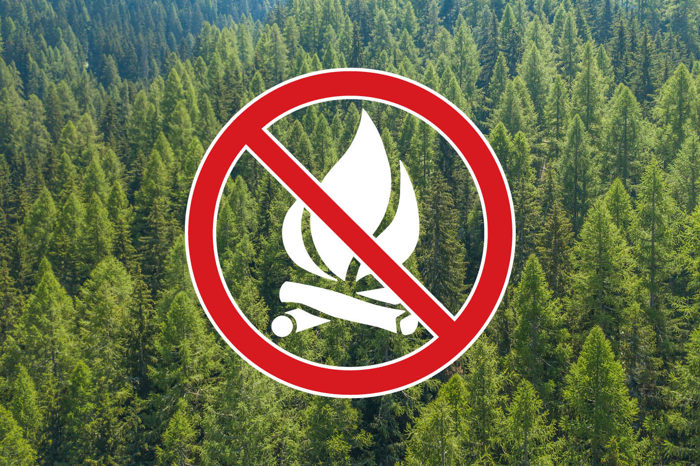 Help Prevent Wildfires By Exercising Added Caution - Ganaraska Conservation